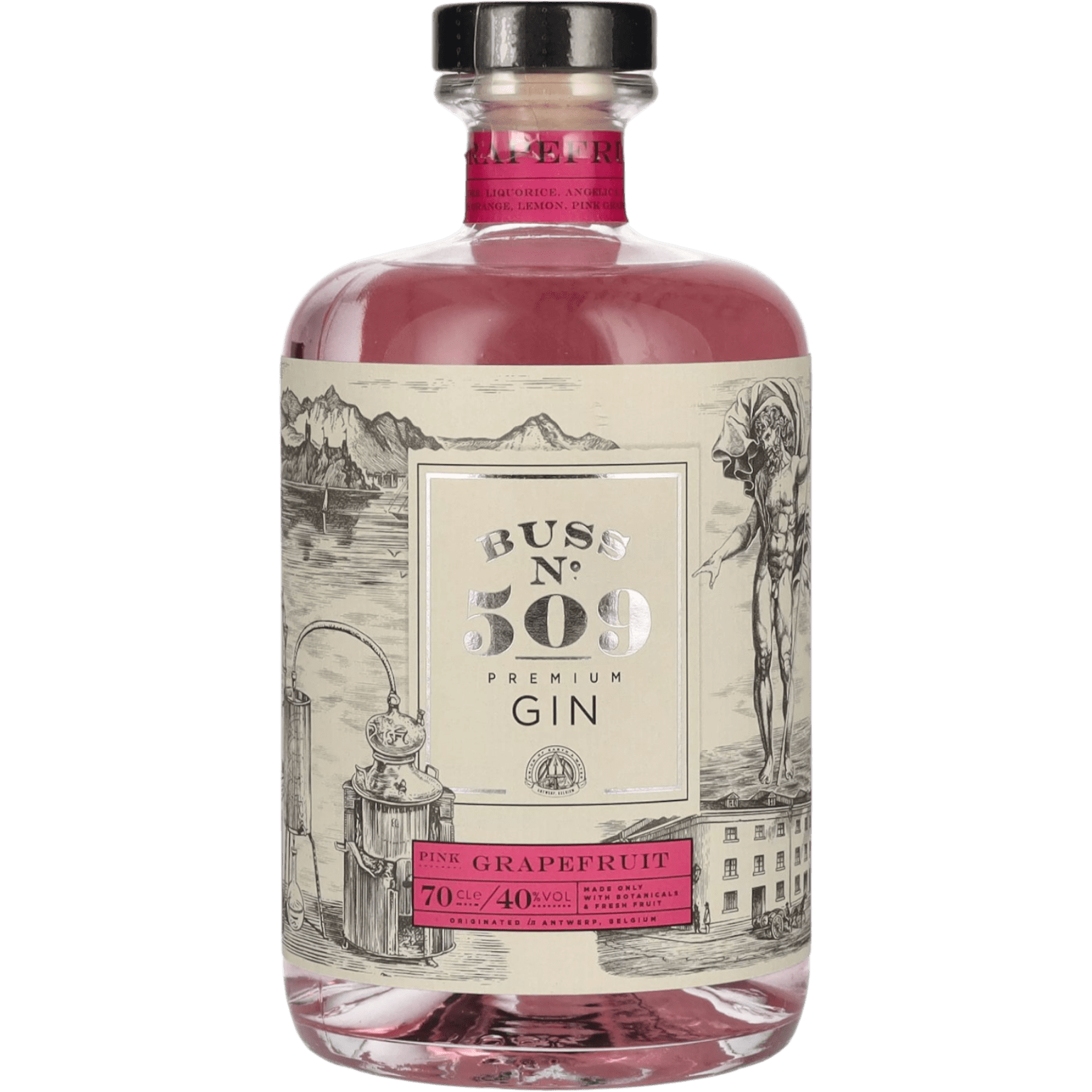 Gin Buss N509 Pink Grapefruit cl. 70 - Magnani Bruno